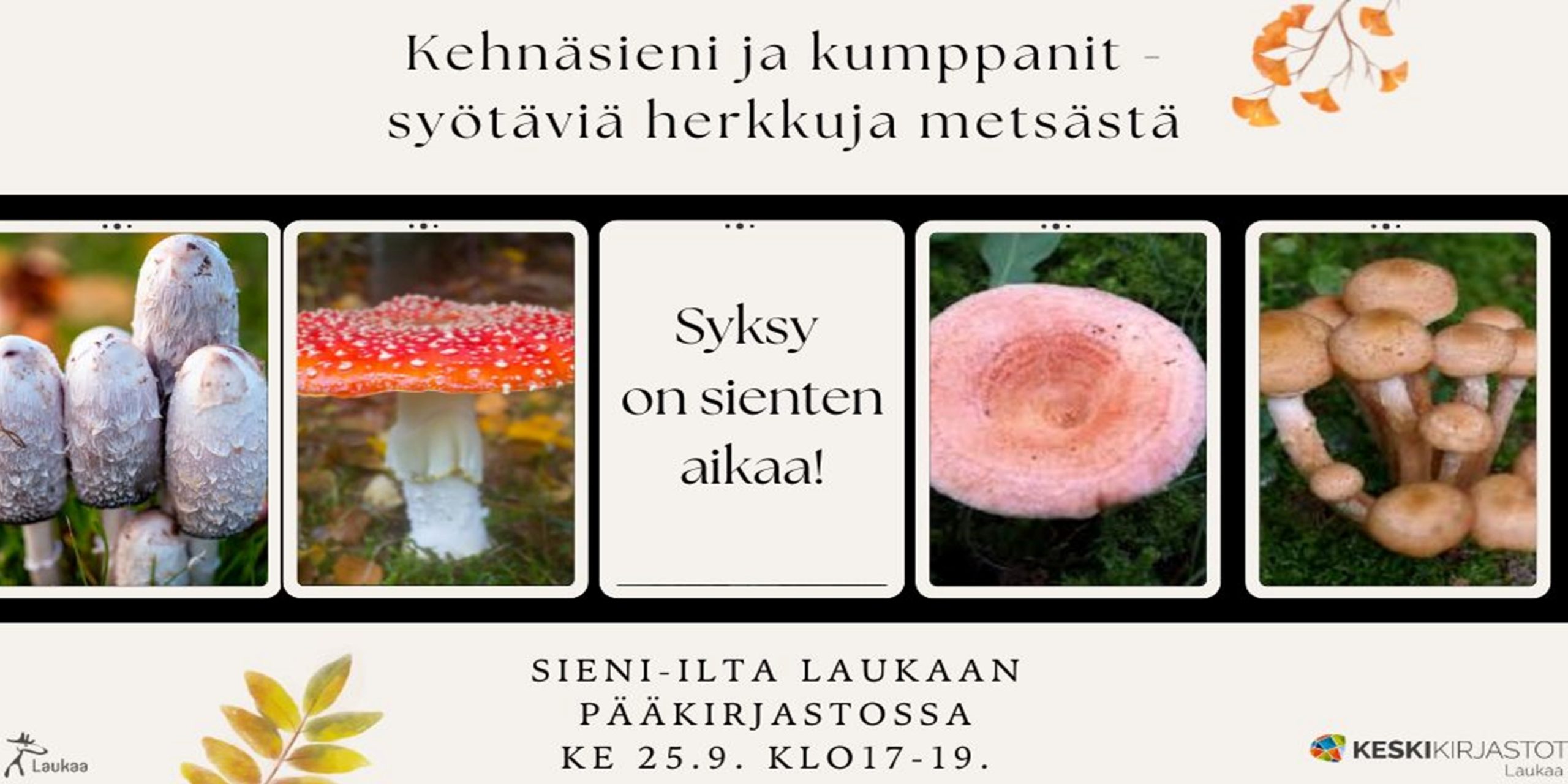 Kehnäsieni ja kumppanit – -syötäviä herkkuja metsästä - Visit Laukaa